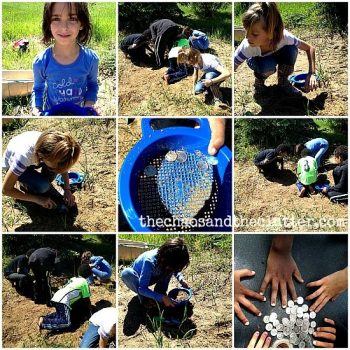 Buried Treasure Discovery
