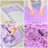 16 Calming Sensory Activities With Lavender