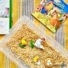 Science Sensory Bins for Hands-on Learning