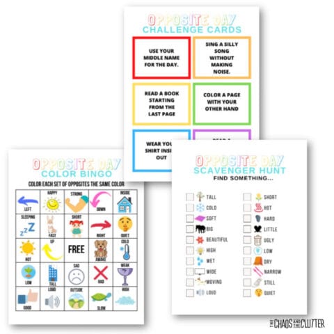 Opposite Day Activity Pack - The Chaos and the Clutter