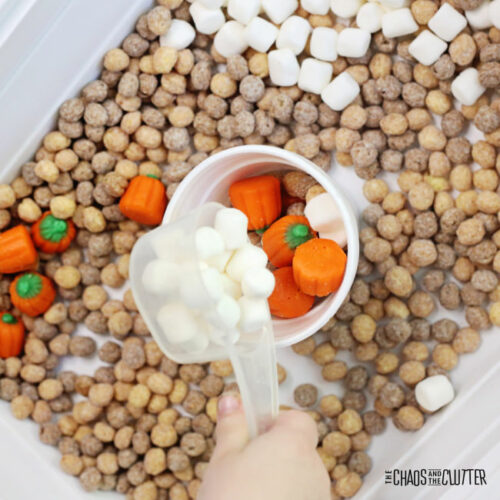 Sensory Bins Archives - The Chaos and the Clutter