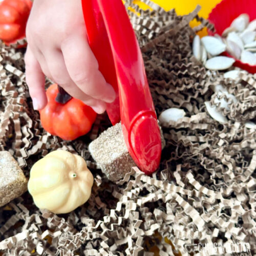 Sensory Bins Archives - The Chaos and the Clutter